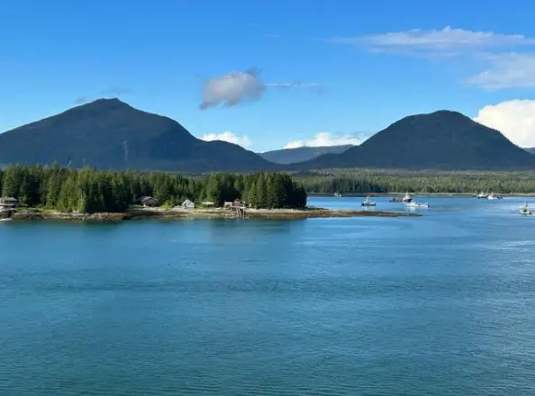 The Transformative Power of Awe | Ladybug Wellness Group